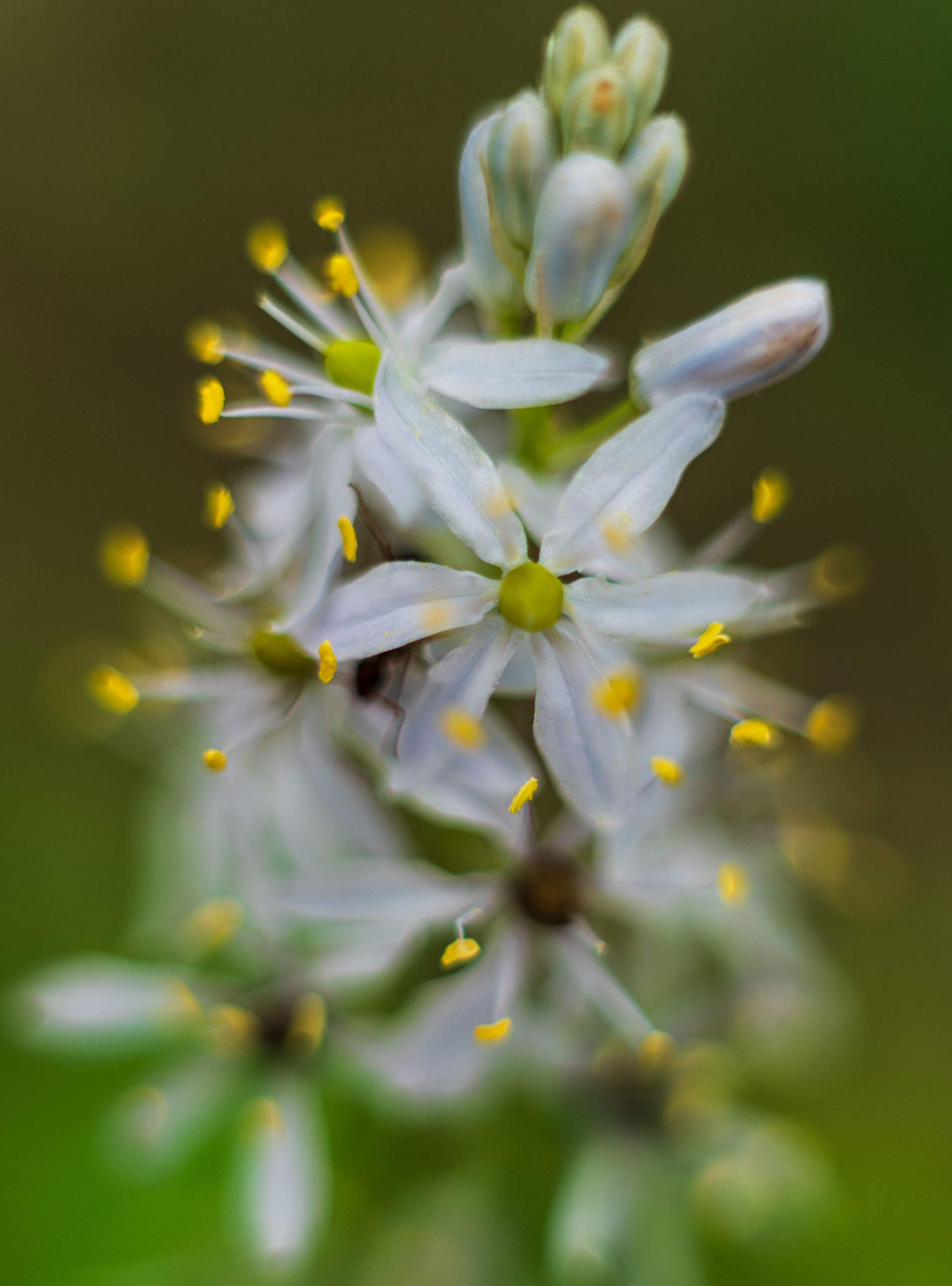 Exploring The Textures of Nature - ARKE Magazine