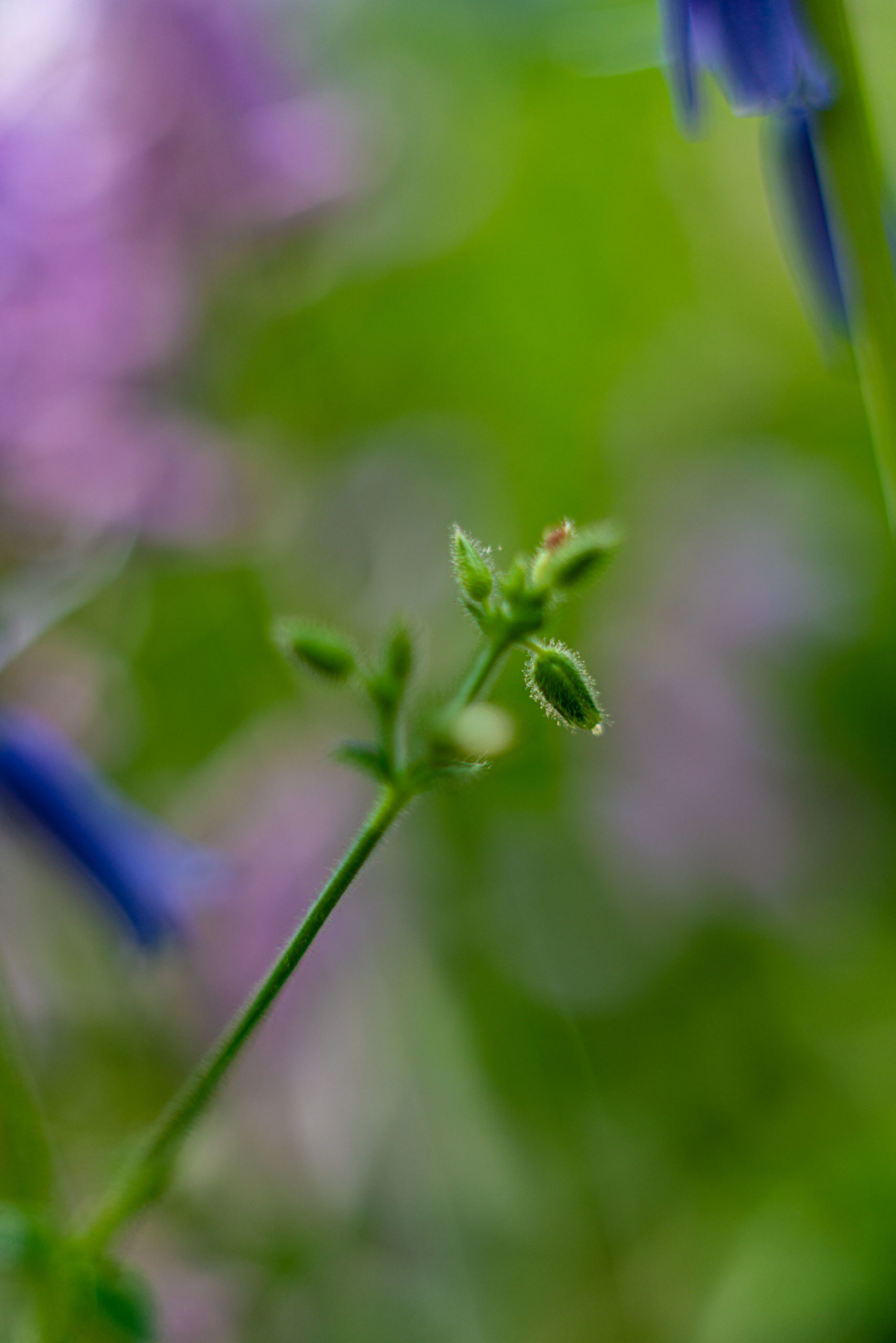 Exploring The Textures of Nature - ARKE Magazine